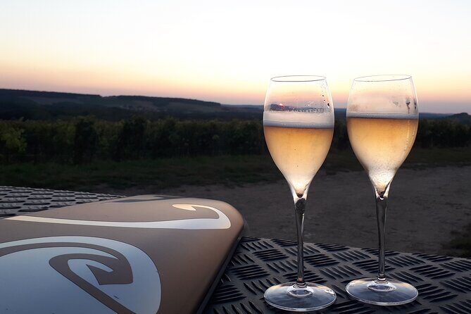 Champagne tasting, panoramic walk in the vineyards - The Experience for Different Travelers