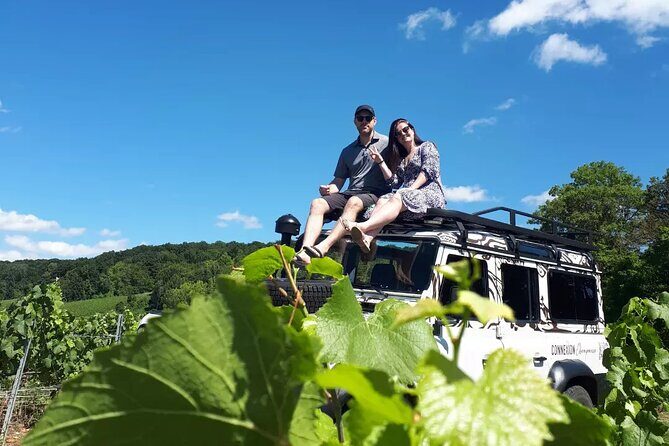 Champagne tasting, panoramic walk in the vineyards - The Sum Up: Is This Tour Right for You?