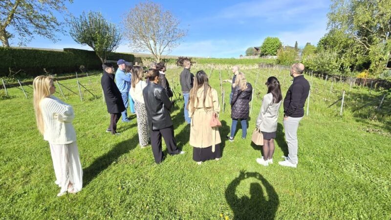 Champagne Vineyard Experience: Explore the terroir - The Sum Up