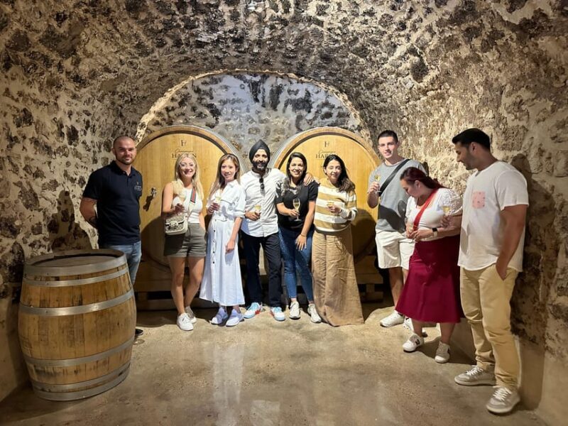Champagne Vineyard Experience: Explore the terroir - Final Thoughts