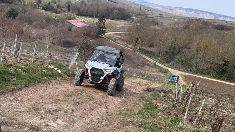 Champagne vineyards: 2-hour guided tour of the vineyards in a Buggy - Key Points