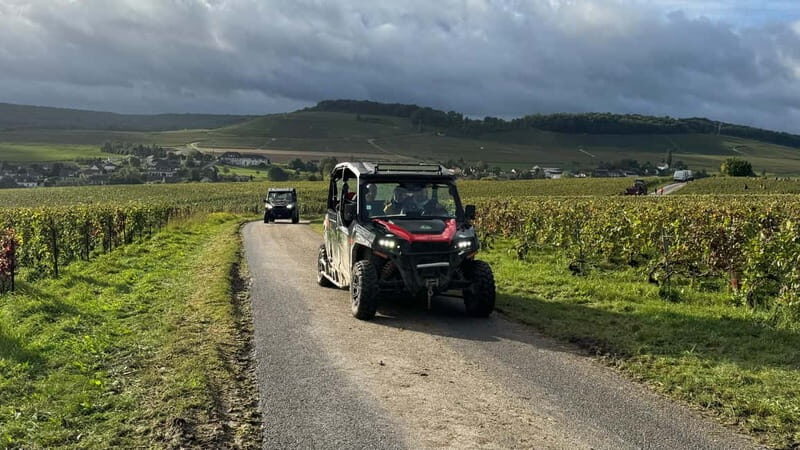 Champagne vineyards: 2-hour guided tour of the vineyards in a Buggy - FAQ on the Champagne Vineyards Buggy Tour