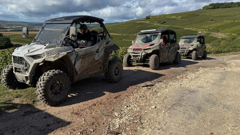 Champagne vineyards: 2-hour guided tour of the vineyards in a Buggy - The Sum Up