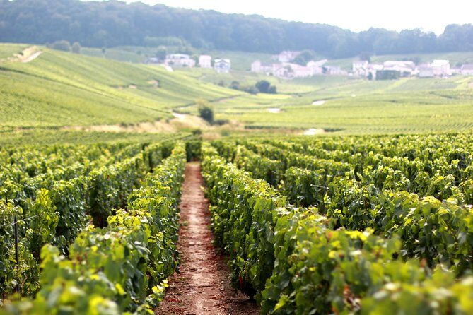 Champagne VIP Day Trip from Paris With Local PRIVATE Wine Expert Guide - Exploring the Champagne Region with a Private Touch