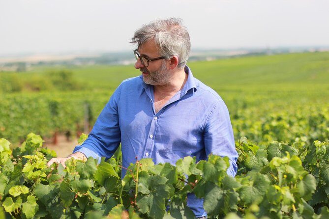 Champagne VIP Day Trip from Paris With Local PRIVATE Wine Expert Guide - Who Will Love This Tour?