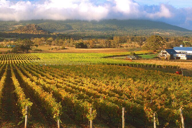 Champion Racehorse Tour with Beer and Wine Tasting - An In-Depth Look at the Tour