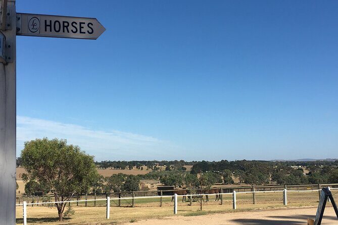 Champion Racehorse Tour with Beer and Wine Tasting - Who Would Love This Tour?
