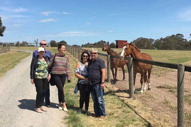 Champion Racehorse Tour with Beer and Wine Tasting - The Sum Up