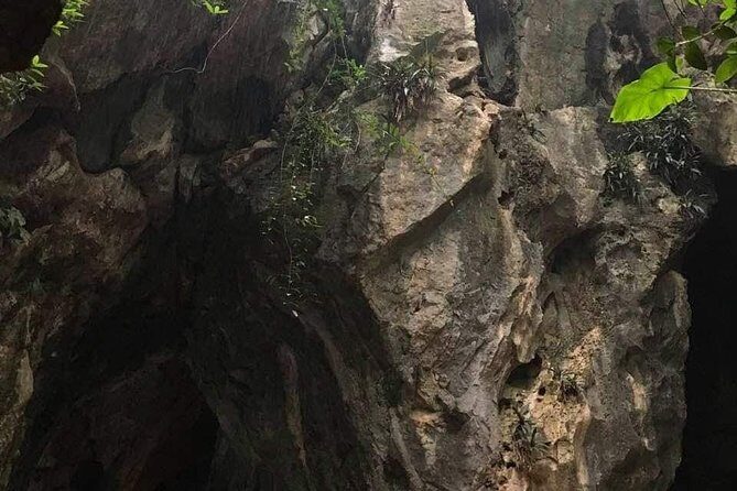 CHAN MAY or TIEN SA Port to MY SON HOLYLAND & DA NANG CITY - Who Will Love This Tour?