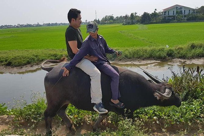 CHAN MAY orTIEN SA Port to Highlights of Hoi An City &Countryside - Who Will Appreciate This Tour?