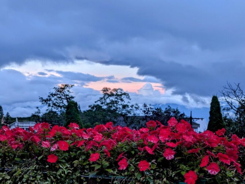 Chan May Port : Golden Bridge - Ba Na Hills Full Day Trip - Who Would Enjoy This Tour Most?