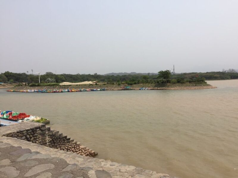 Chandigarh 01 Day Tour - The Bottom Line: Is This Tour Right for You?