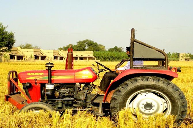 Chandigarh & Anandpur Saheb in 3 days from Delhi - The Practicalities and Overall Value