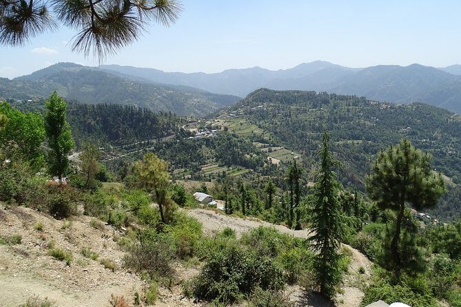 Chandigarh to Shimla Hill Station 4-Days Private Tour - Why This Tour Shines and Who Will Love It