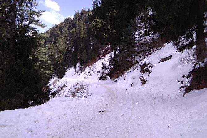 Chandigarh to Shimla Hill Station 4-Days Private Tour - FAQs