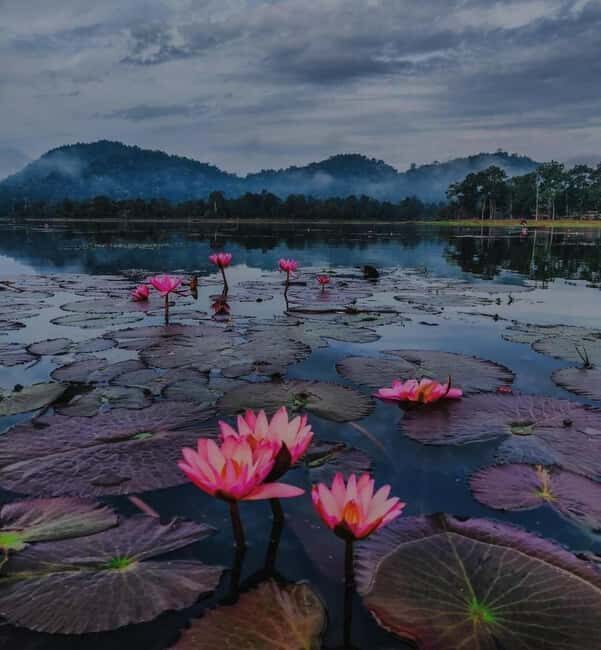 Chandubi Full-Day Tour from Guwahati with Traditional Lunch - Exploring the Itinerary: What to Expect