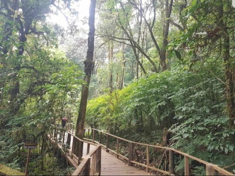Chang Mai: Doi Inthanon Day Tour w/Waterfalls & Hilltribes - Key Points