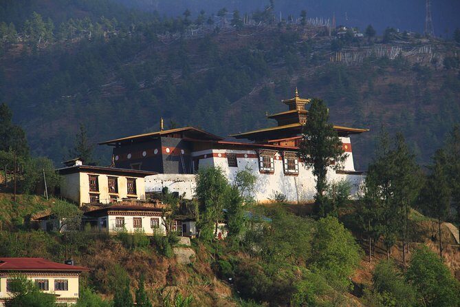 Changangkha Buddha Dordenma Cycling Tour (half Day) - In-depth Look at the Tour