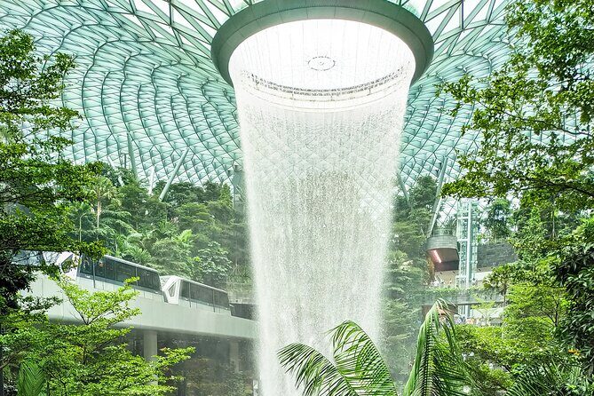 Changi Airport (SIN) Private Transfer to Singapore City/Hotels - Detailed Overview of the Transfer Experience