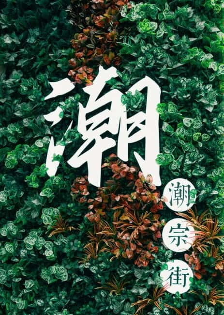 Changsha: Hunan Museum, Fan Painting Workshop & Night Market - Final Thoughts