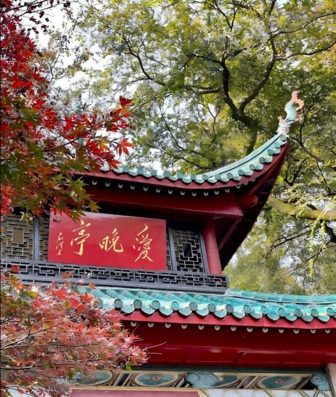 Changsha: Orange Island, Yuelu Mountain & Museum Tour - Practical Details and Tips