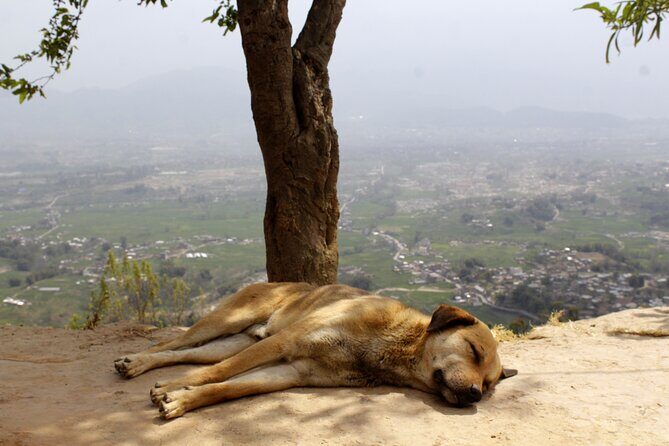 Changunarayan Hill to Telkot Hike Near Kathmandu Day Tour - Authentic Traveler Feedback