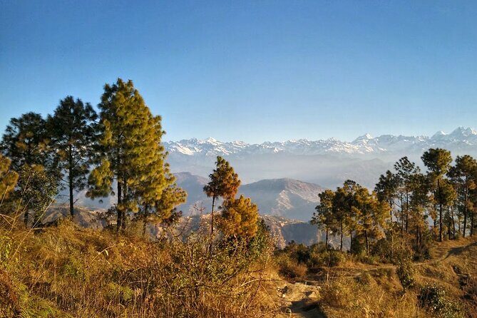 Changunarayan Nagarkot Day Hikking - The Experience Provider and Booking Details