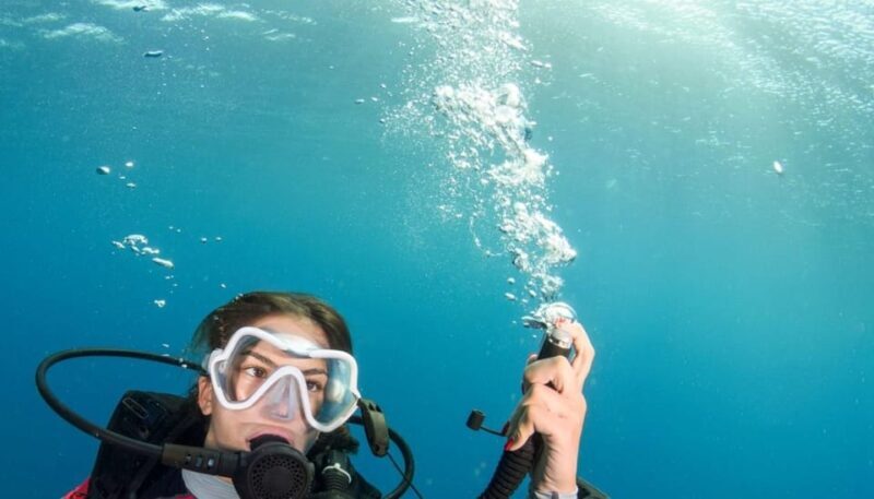 Chania: 2 Boat Dives for Certified Divers - What to Expect from the Itinerary