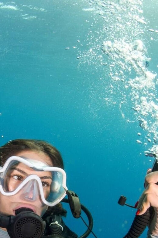 Chania: 2 Boat Dives for Certified Divers - Dive Sites and Highlights