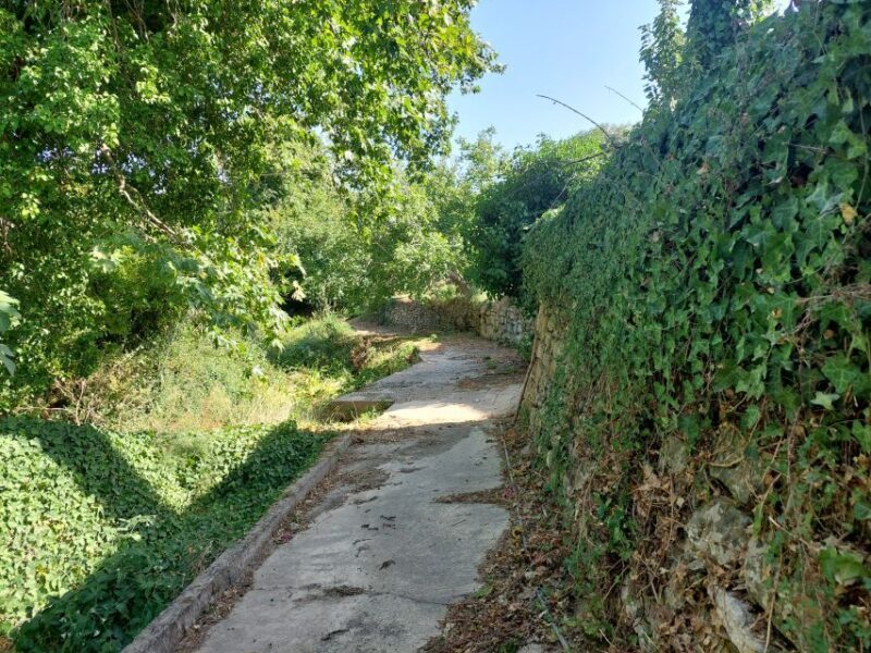 Chania: 5-Wine Tasting with Locals in Village near Kissamos - Summary