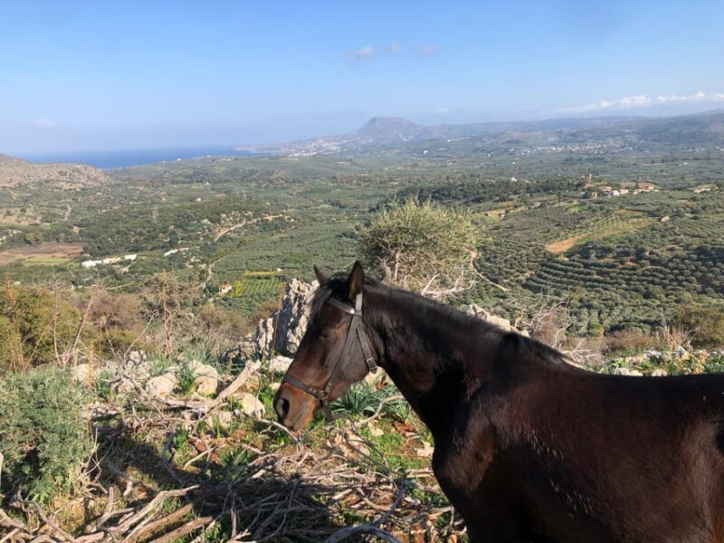 Chania Area: Cooking Class at a Farm in Stylos Village - FAQs