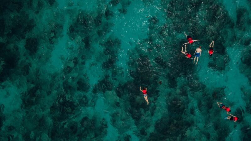 Chania: Boat Trip with Guided Snorkeling Tour - Why This Tour Is a Good Deal