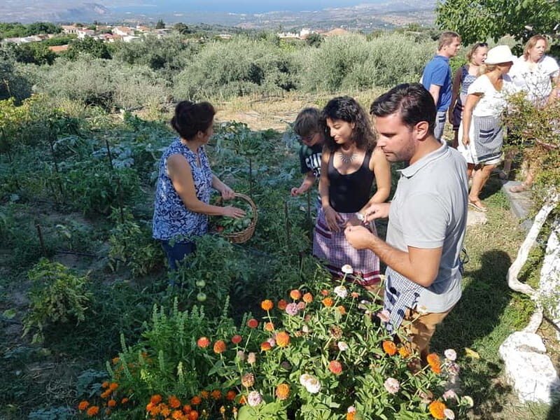 Chania: Cretan Wine, Olive Oil & Cooking Workshop - An Authentic, Flavorful Journey in Crete