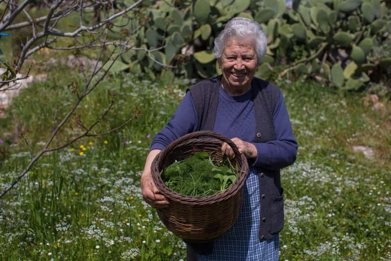 Chania: Cretan Wine, Olive Oil & Cooking Workshop - Who Will Love This Experience?