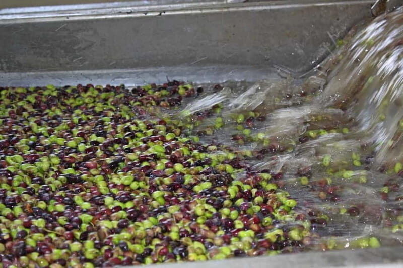 Chania: Cretan Wine, Olive Oil & Cooking Workshop - FAQs