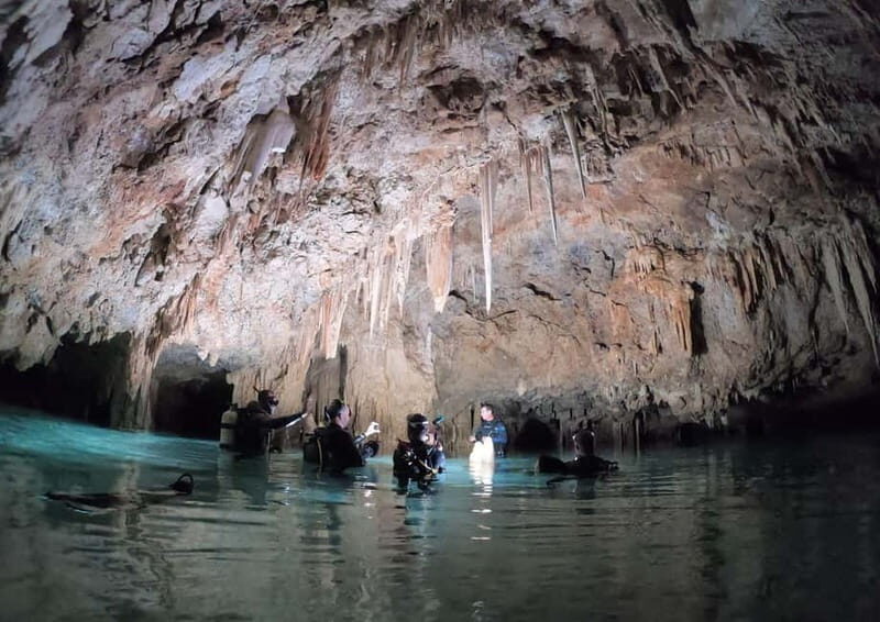 Chania: Diving Trips for Certified Divers - Pricing and Value