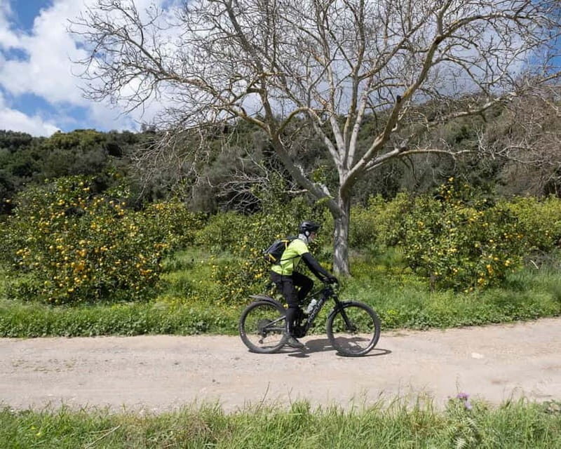 Chania: Electric Mountain Bike Tour - Key Points