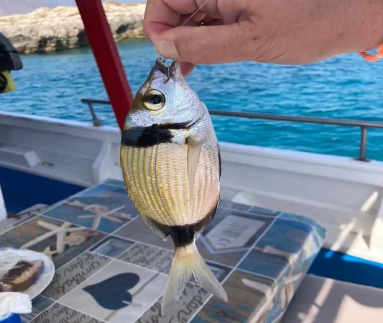 Chania: Fishing Boat Trip with Breakfast and Swim - Frequently Asked Questions