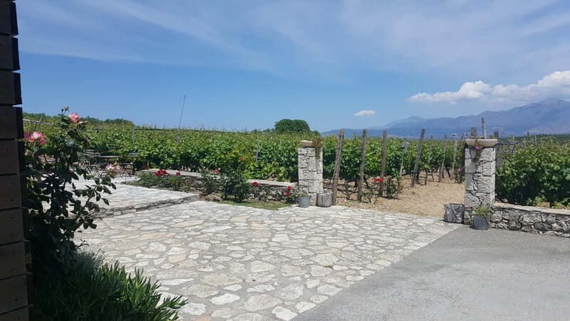Chania: Full-Day Vineyard & Winery Private Tour w/ Tastings - What’s Included and What’s Not