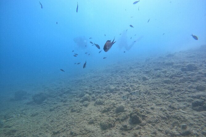 Chania Guided Snorkeling and Boat Excursion - Practical Details and Why They Matter