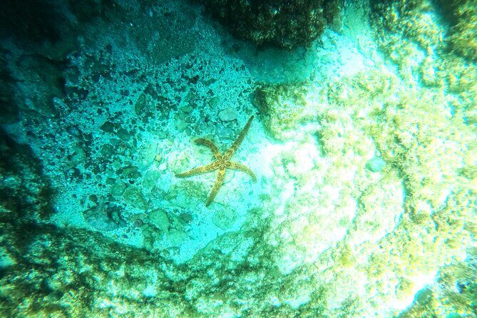 Chania Guided Snorkeling and Boat Excursion - Final Thoughts: Is It Worth It?