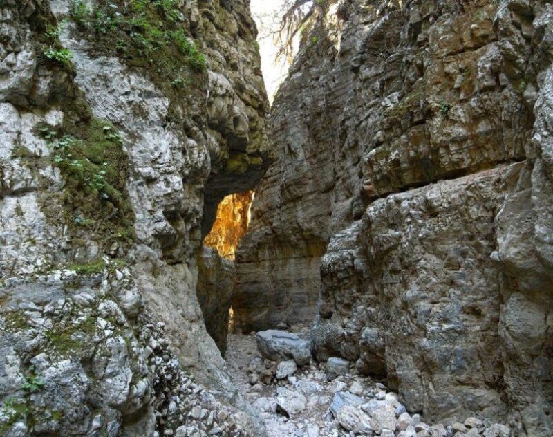 Chania: Imbros Gorge and Libyan Sea Day Tour - An In-Depth Look at the Tour Experience