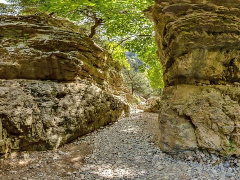 Chania: Imbros Gorge and Libyan Sea Day Tour - The Practical Side: Transportation, Timing, and Price