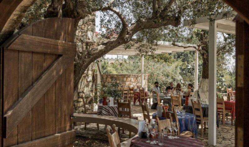 Chania Luxuries: Secrets of Wine and Olive Oil Tastings - An Immersive Journey into Crete’s Food and Landscape
