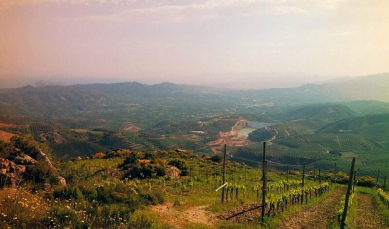 Chania Luxuries: Secrets of Wine and Olive Oil Tastings - Frequently Asked Questions