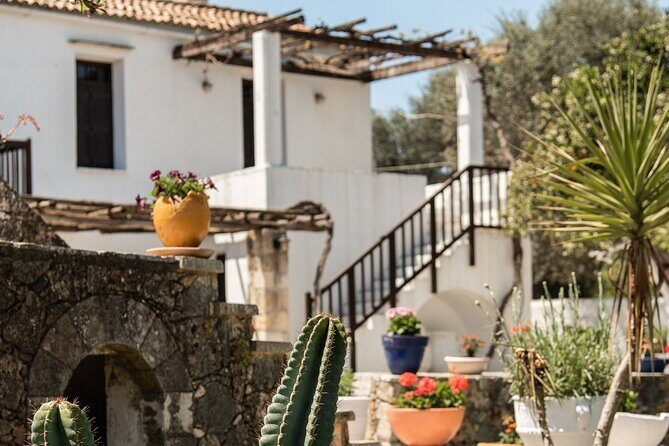 Chania Luxuries: Secrets of Wine and Olive Oil Tastings - Summary: Who Will Love This Tour?