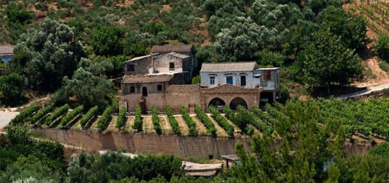 Chania: Milia Mountain Tour w/Lunch Olive Oil/Wine Tastings - The Value Proposition