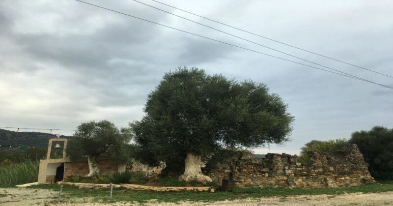 Chania Monasteries Private Tour: A Greek Orthodoxy Tribute - An Introduction to Crete’s Christian Heritage