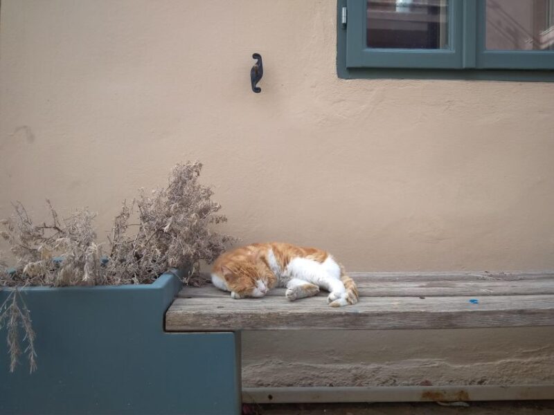 Chania Old Town: Artisans & Sightseeing Walking Tour - FAQs