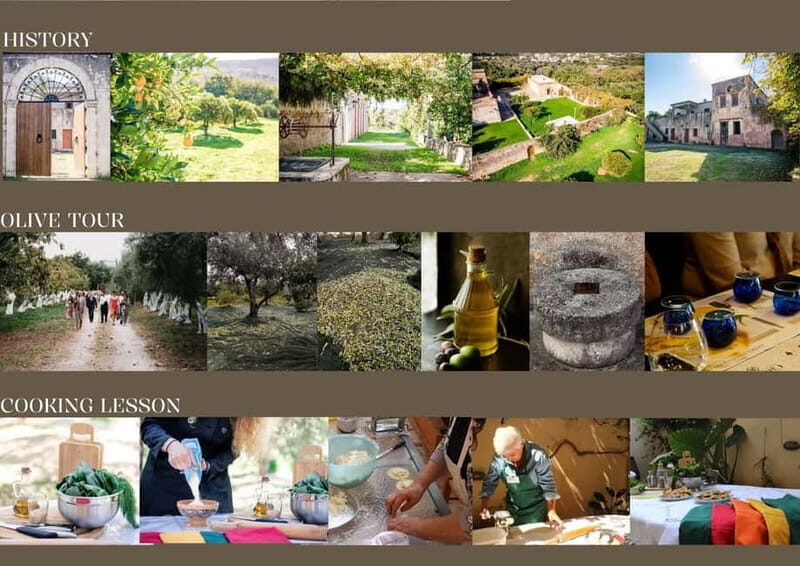 Chania: Olive Oil Tasting & Cooking Class at Metohi Istoria - An Intimate Peek into Crete’s Past and Present
